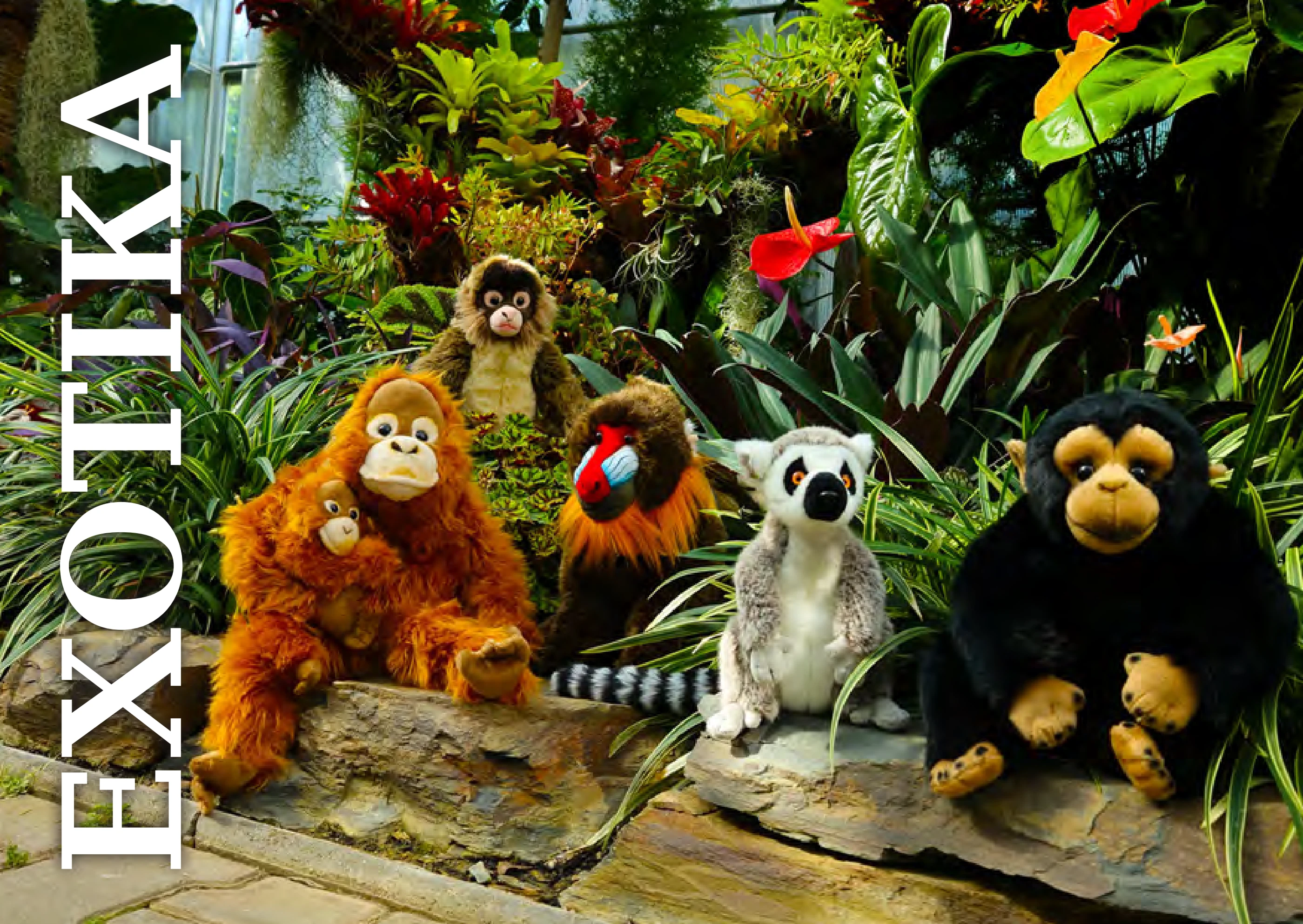 Exkluzivní plyš katalog A6 - 2026 - RAPPA - Stránka 22 | Překlopení PDF ...