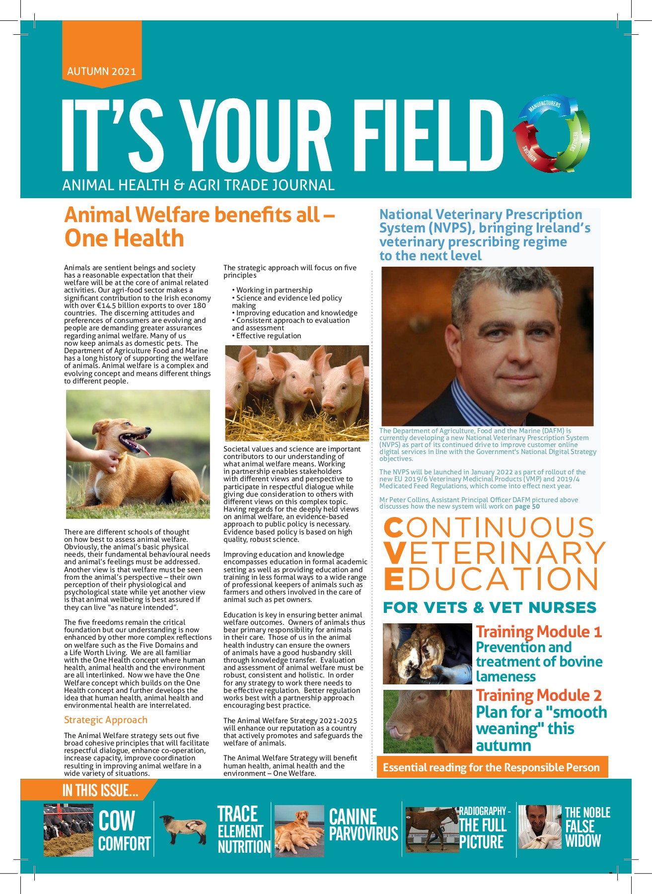 IYF 2021 Autumn Updated - michael - Page 1 - 60 | Flip PDF Online | PubHTML5