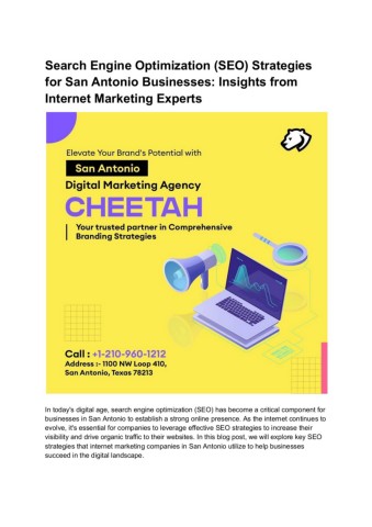 Search Engine Optimization (SEO) Strategies for San Antonio Businesses: Insights from Internet ...