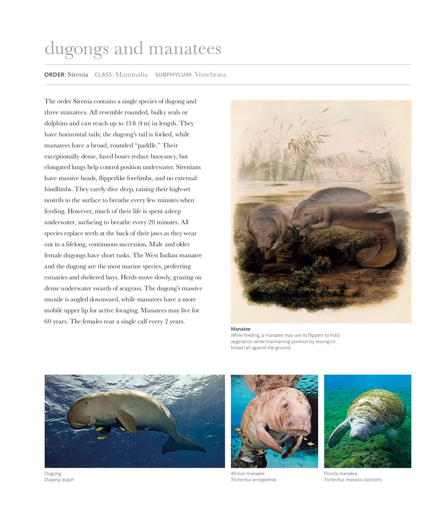 Oceanology - The Secrets of the Sea Revealed - The Virtual Library ...