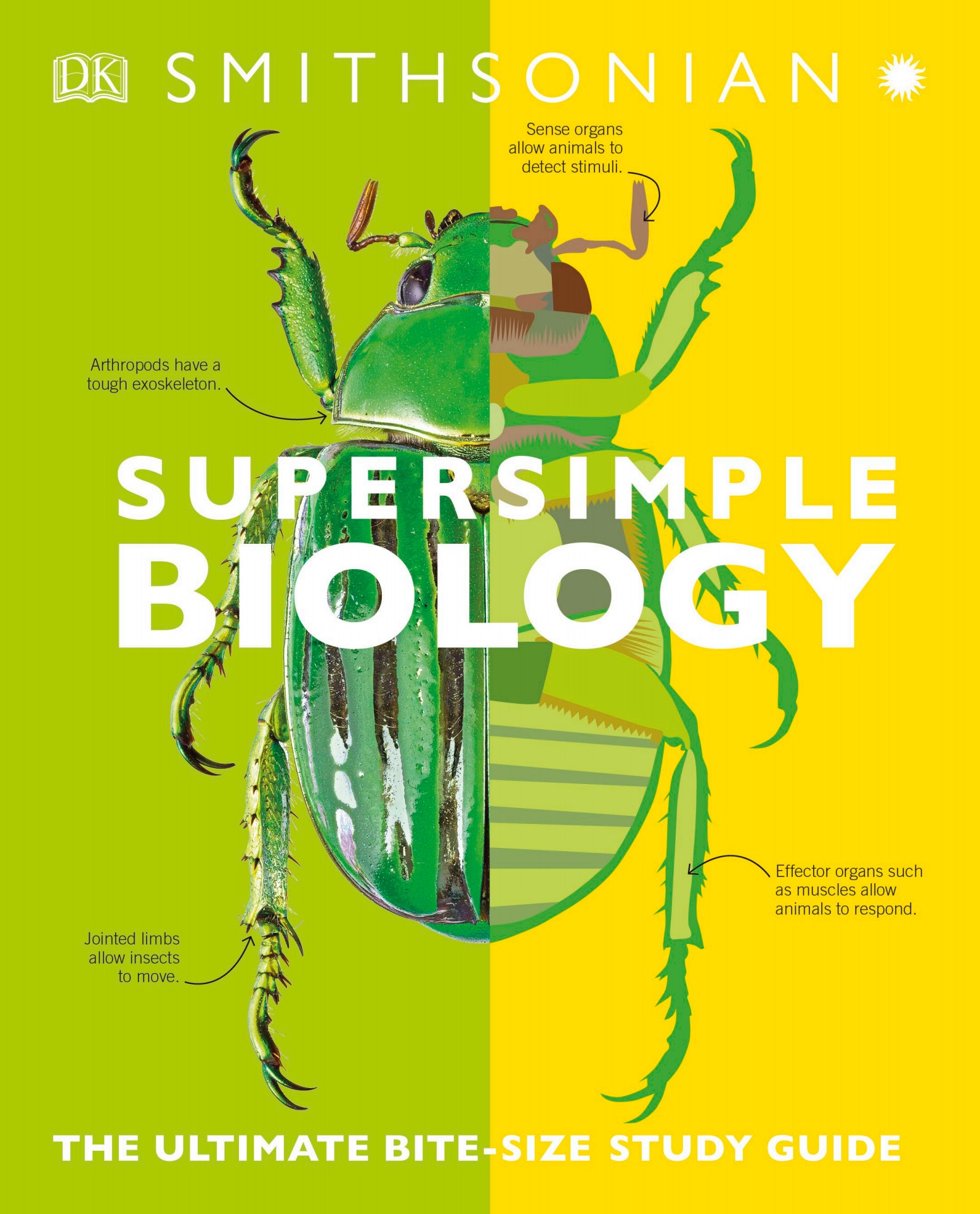 Super Simple Biology - The Virtual Library - Page 1 | Flip PDF Online ...