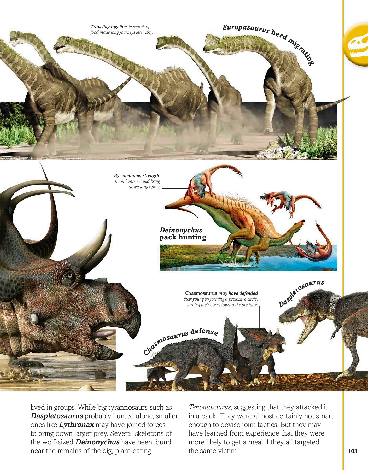 The Dinosaur Book - And Other Wonders of the Prehistoric World - The ...