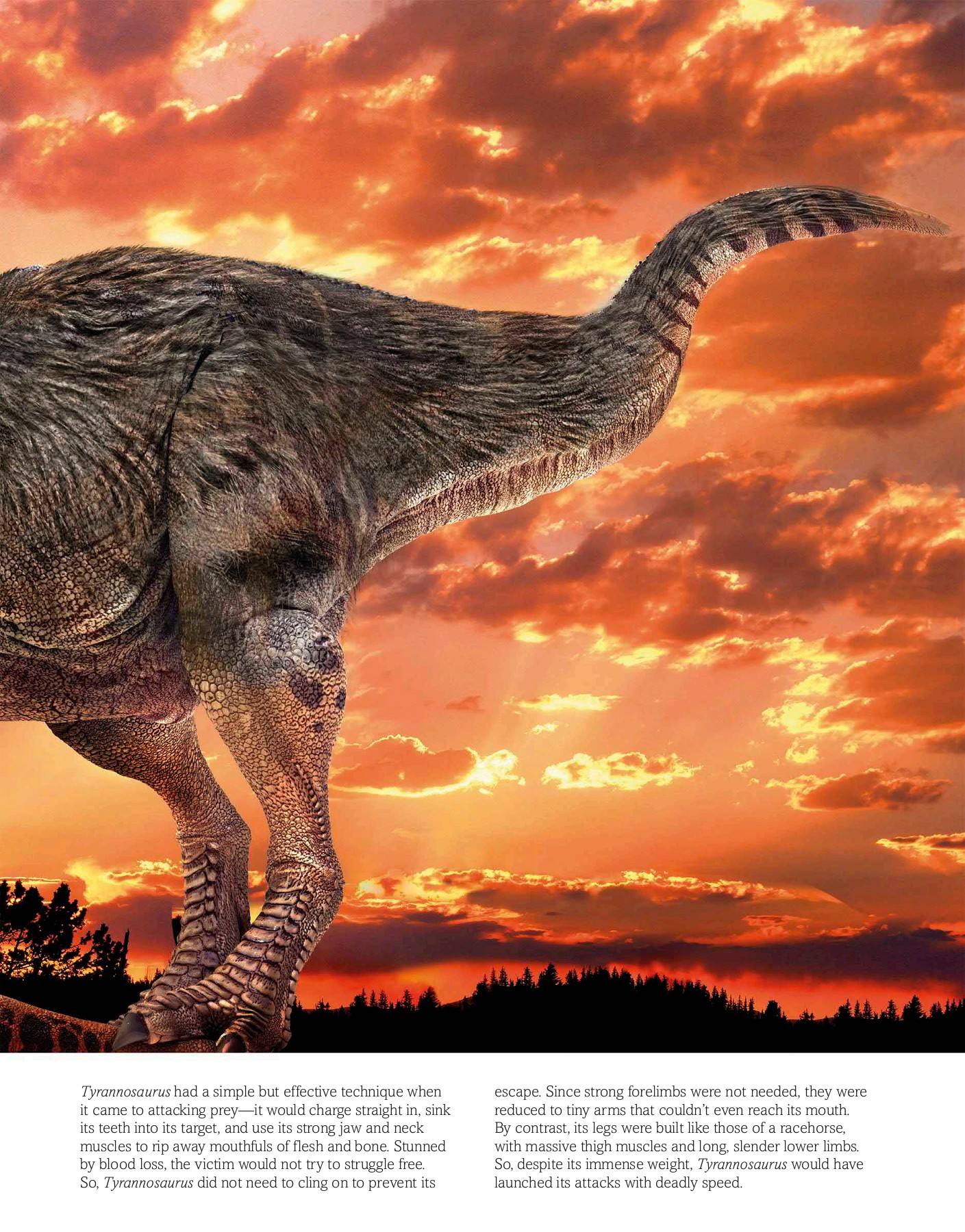 The Dinosaur Book - And Other Wonders of the Prehistoric World - The ...