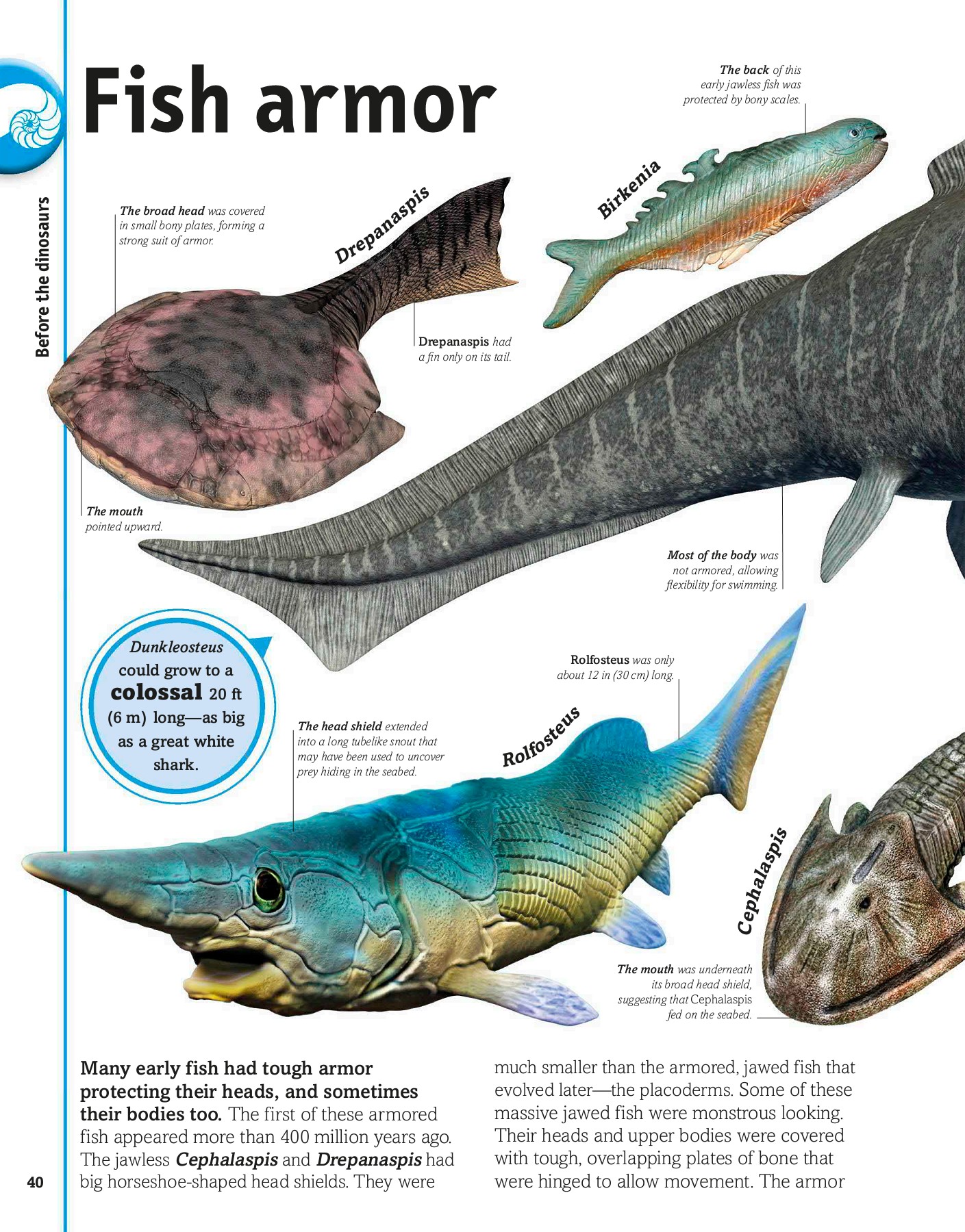 The Dinosaur Book - And Other Wonders of the Prehistoric World - The ...