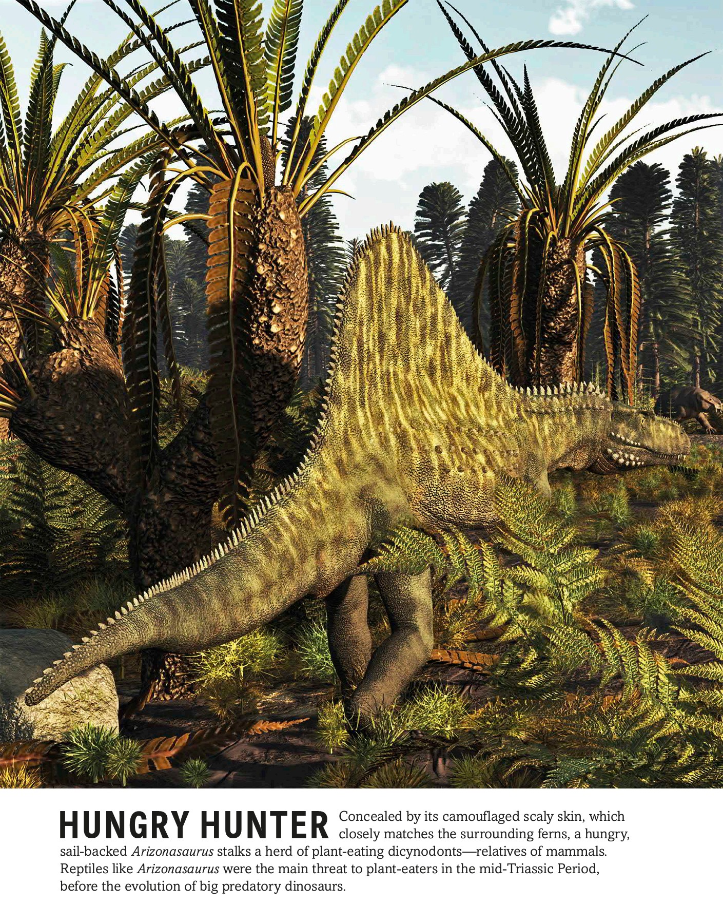 The Dinosaur Book - And Other Wonders of the Prehistoric World - The ...