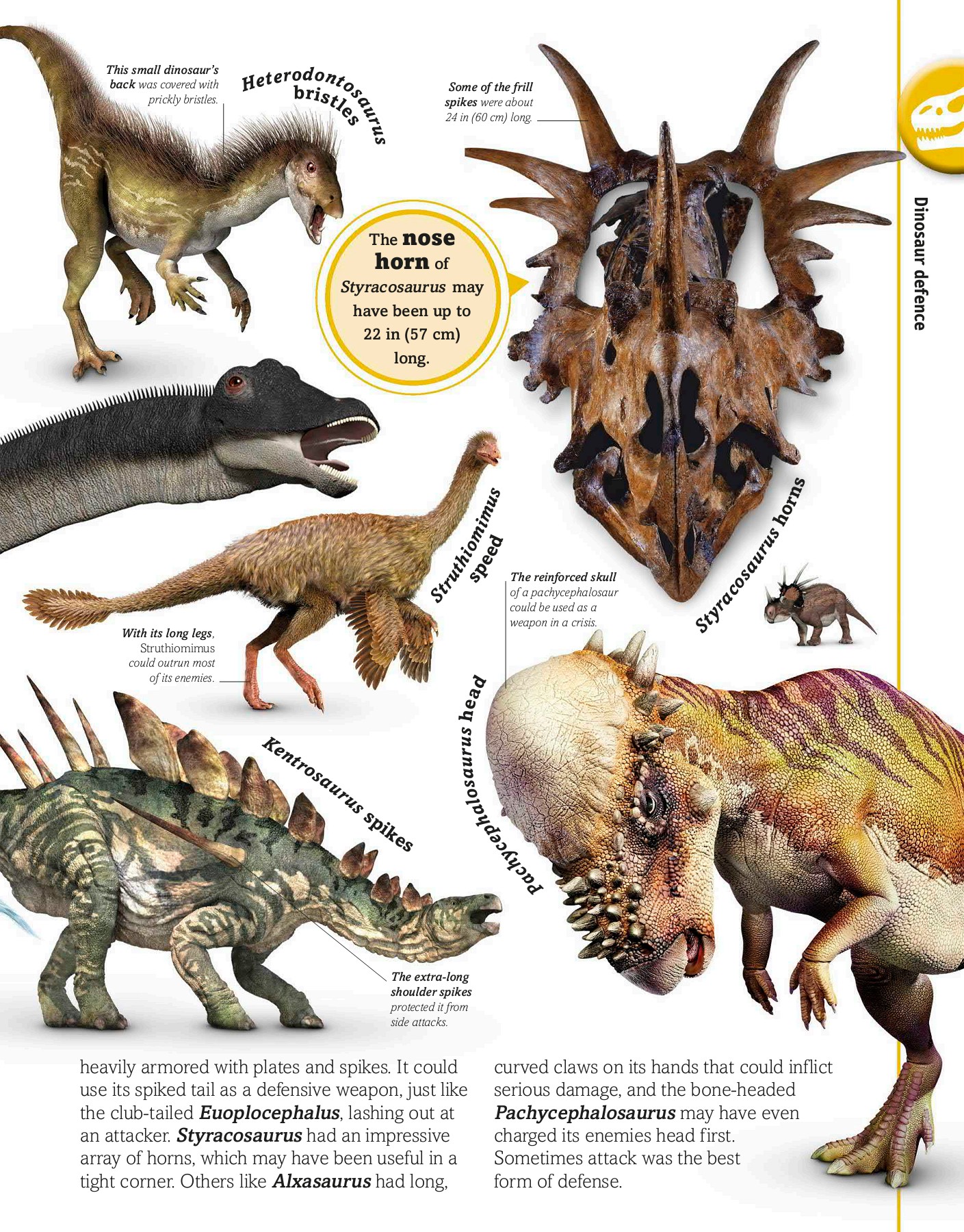 The Dinosaur Book - And Other Wonders of the Prehistoric World - The ...