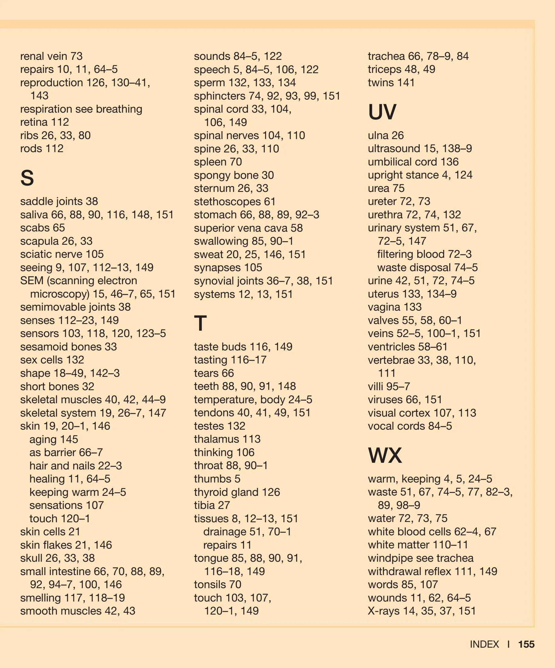 Pocket Genius - Human Body - Facts at Your Fingertips - The Virtual ...