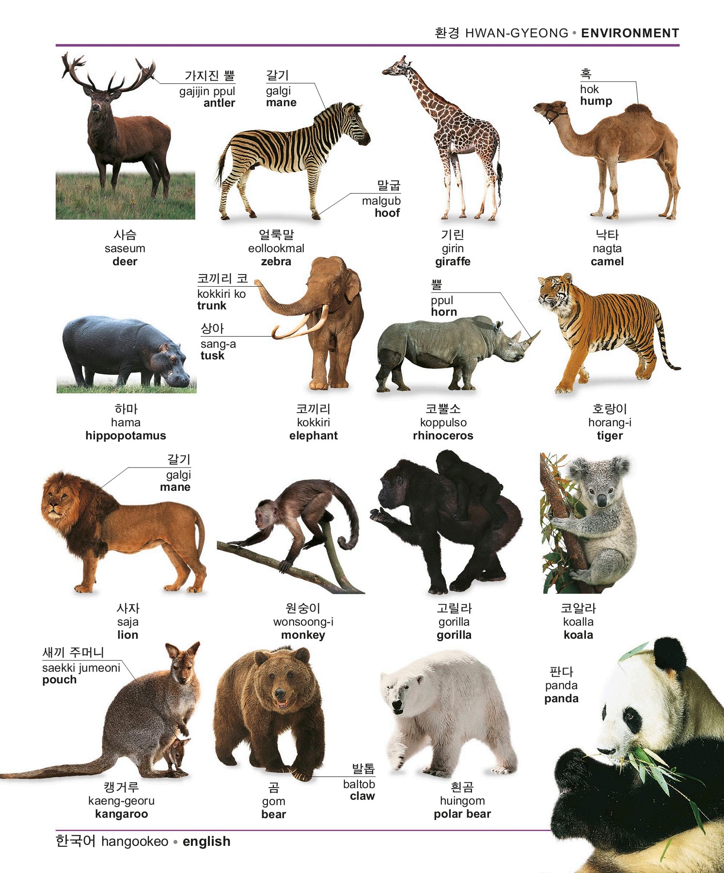 Korean-English Bilingual Visual Dictionary - The Virtual Library - Page ...