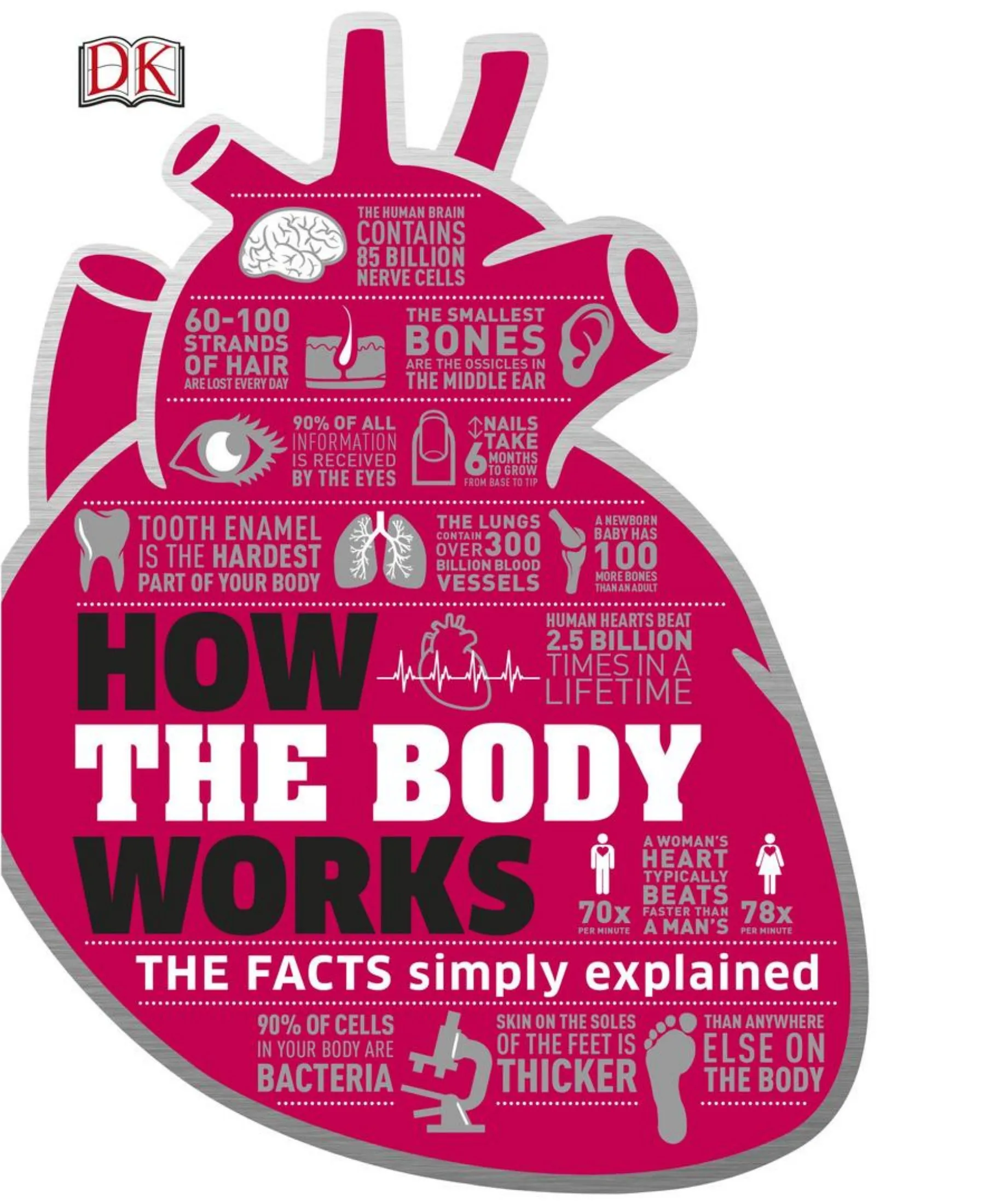 How the Body works - The Facts simply explained - The Virtual Library ...