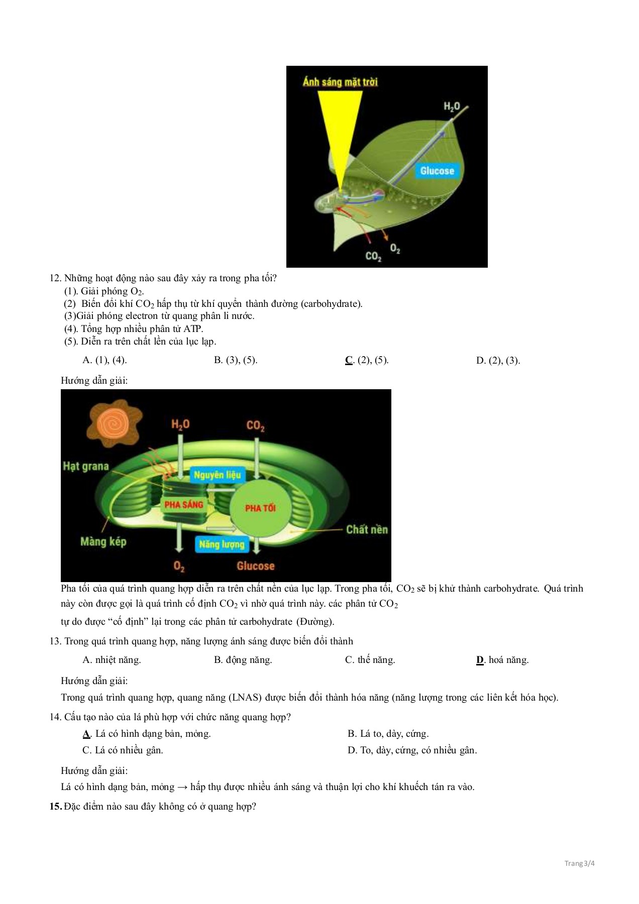 Hoc lieu KHTN 7 - Trần Hơn - Page 272 | Flip PDF Online | PubHTML5