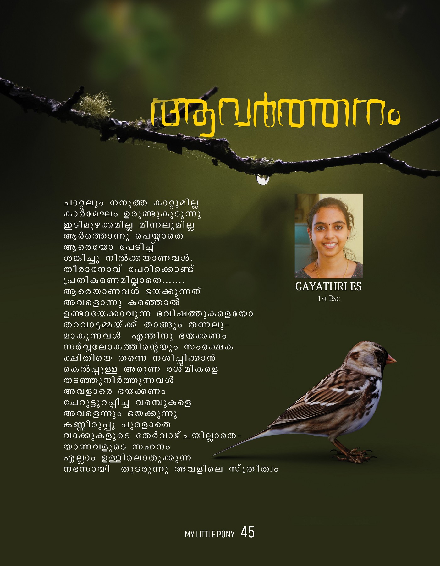 My little pony - Vijil Jith 85 - Page 47 | Flip PDF Online | PubHTML5