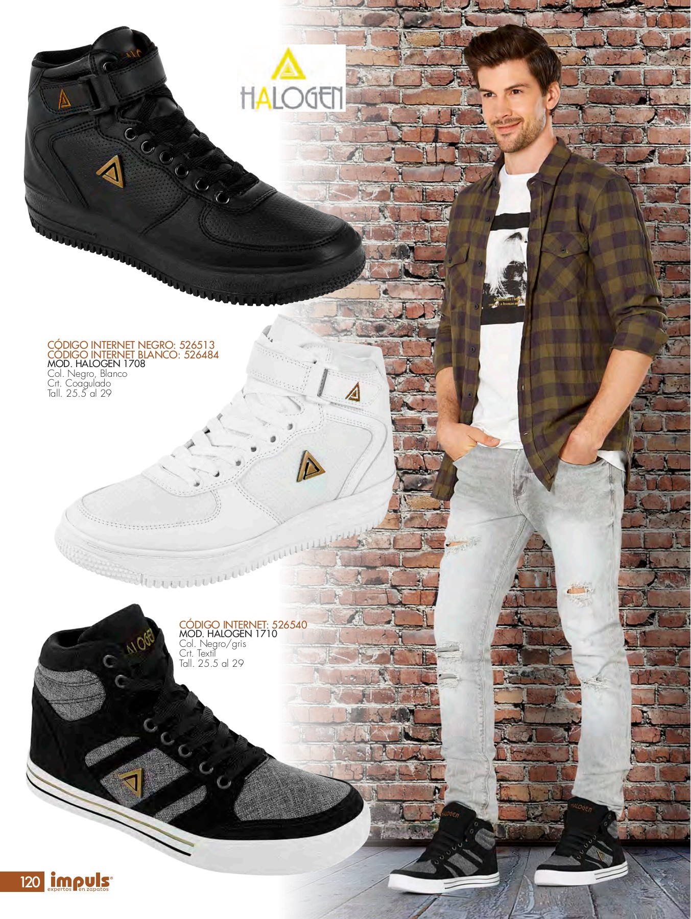 efwef - rojogallito - Página 122 | Flip PDF en línea | PubHTML5