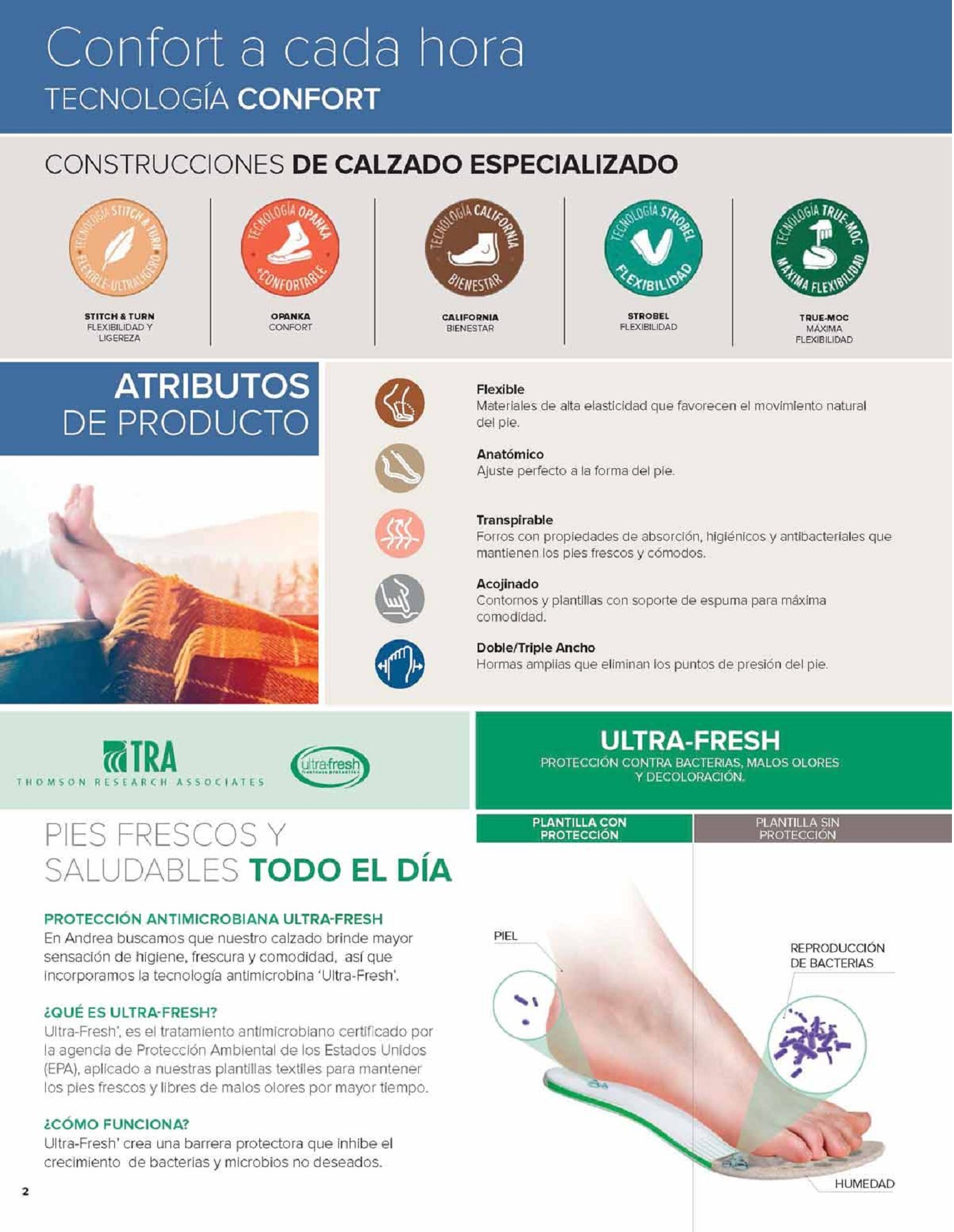 ascas - rojogallito - Page 2 | Flip PDF Online | PubHTML5