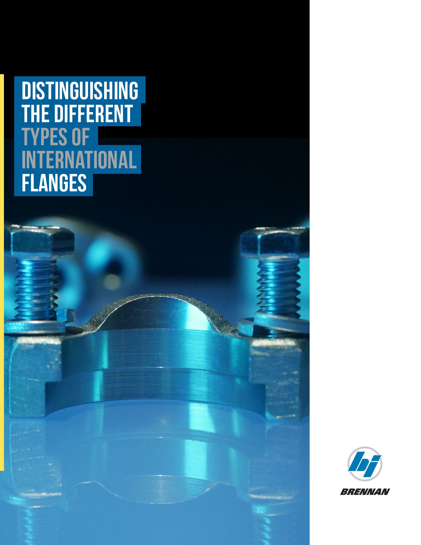 Distinguishing the Different Types of International Flanges - Brennan ...