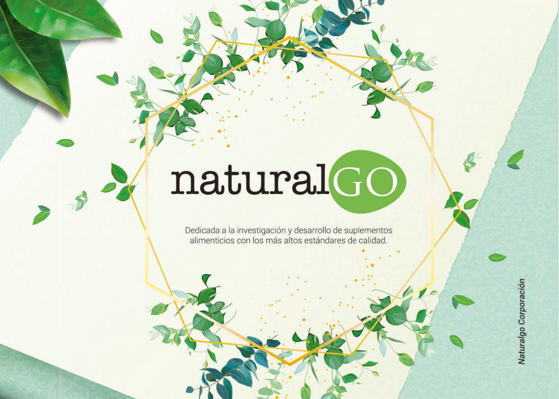 CATÁLOGO NATURALGO 2022 - Nabor Herbas oficial 2019 - Page 1 - 26 ...