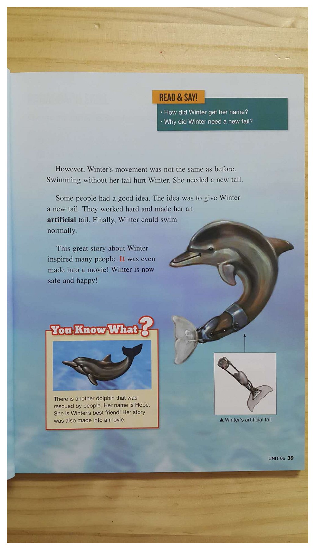 Bricks Reading 170 Level 2 - Teacher Erica - Page 34 | Flip PDF Online ...