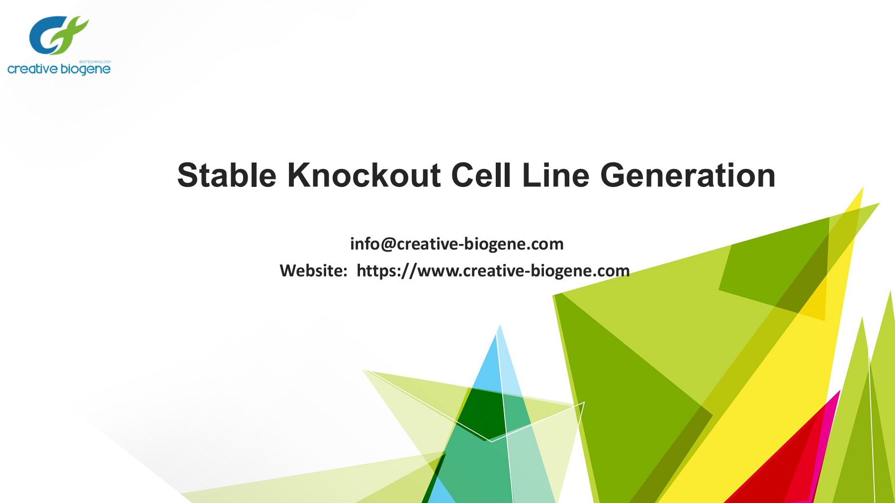 Knockout Cell Line Generation - Creative Biogene - Page 1 - 13 | Flip PDF Online | PubHTML5