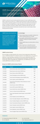 CRISPR Library Screening Solutions