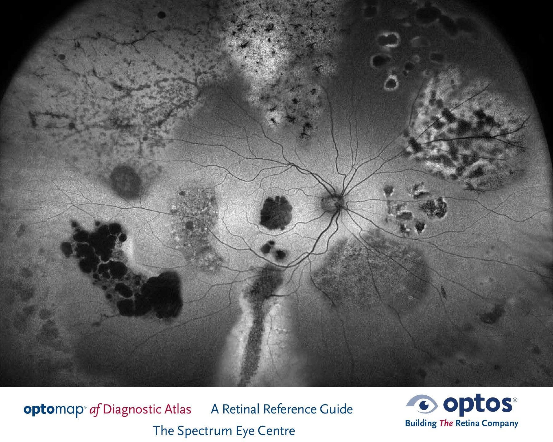 Autofluorescence - bryan.robertson - Page 1 - 37 | Flip PDF Online ...