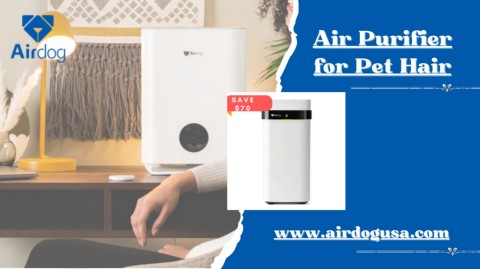Buy The Best Air Purifier For Pet Hair From Airdog USA