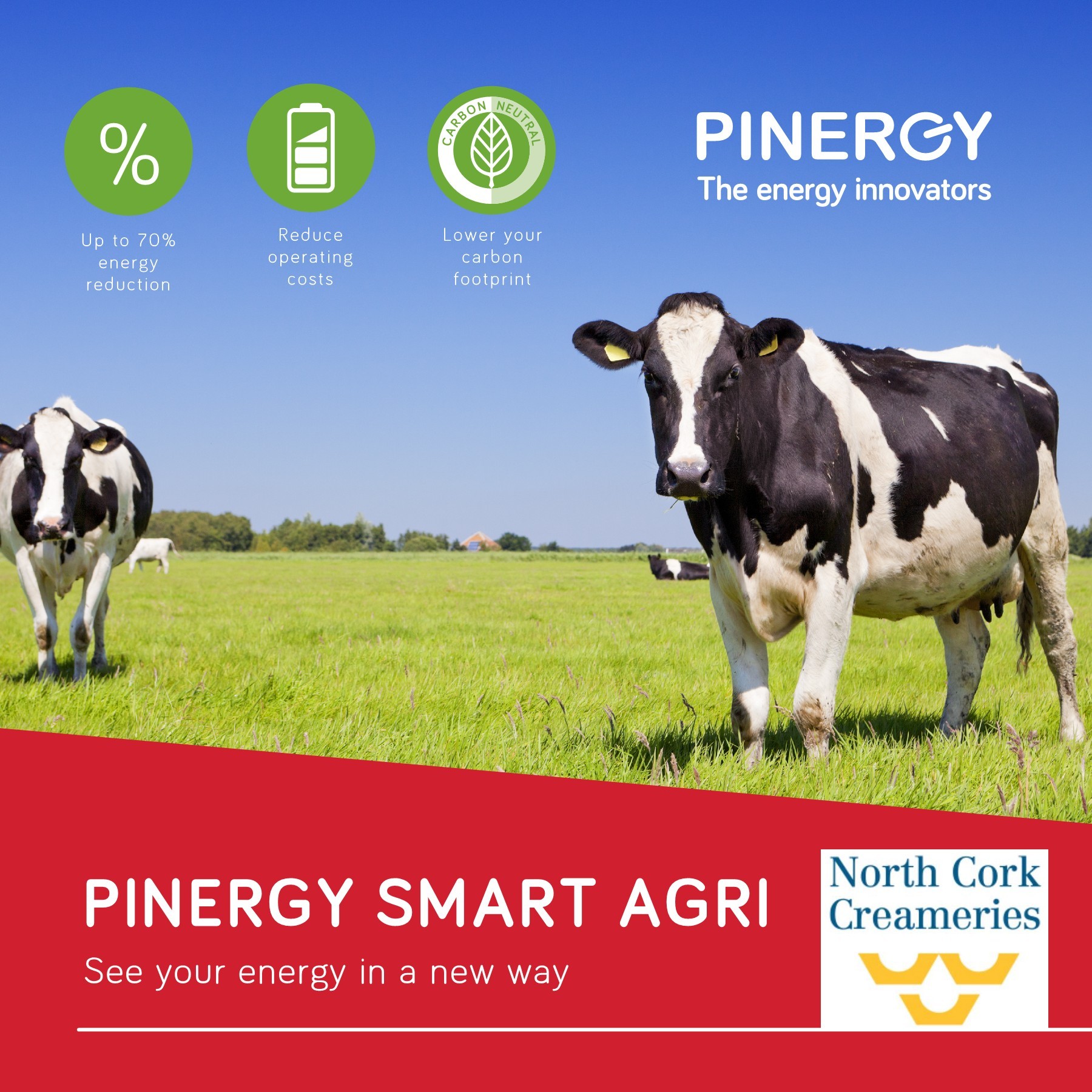 North Cork PRINT PINERGY AGRI eBook - Pinergy - Page 1 - 10 | Flip PDF ...