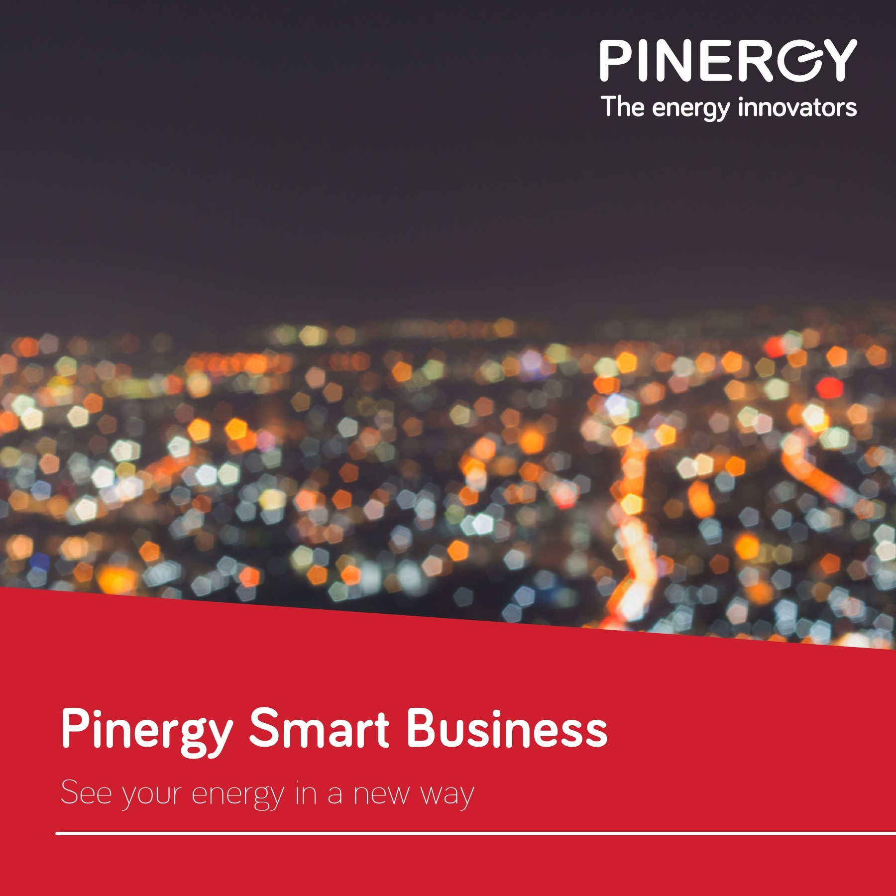 Pinergy Smart Business (CFv1) - Pinergy - Page 1 - 6 | Flip PDF Online ...