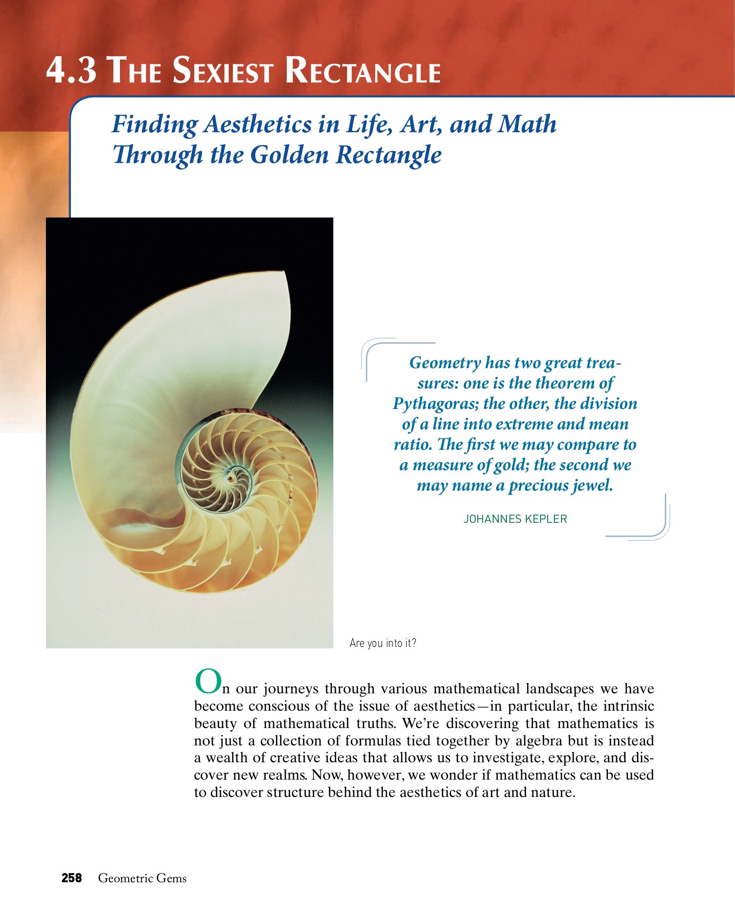 Numerical Patterns in Nature - Bea Alcoran - Page 1 - 13 | Flip PDF ...