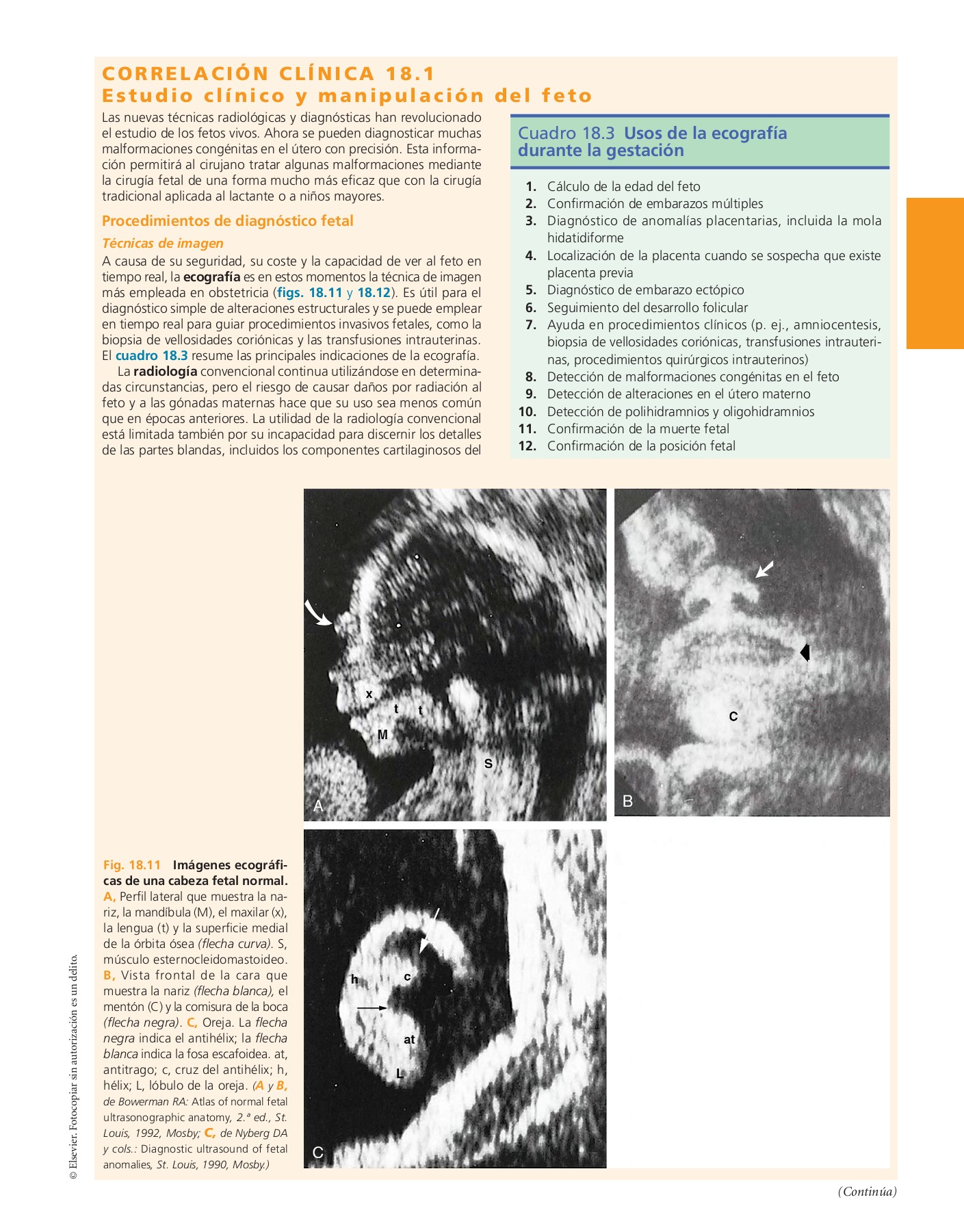 Embriologia Humana y Biologia del Desarrollo - Alejandro B. - Página ...