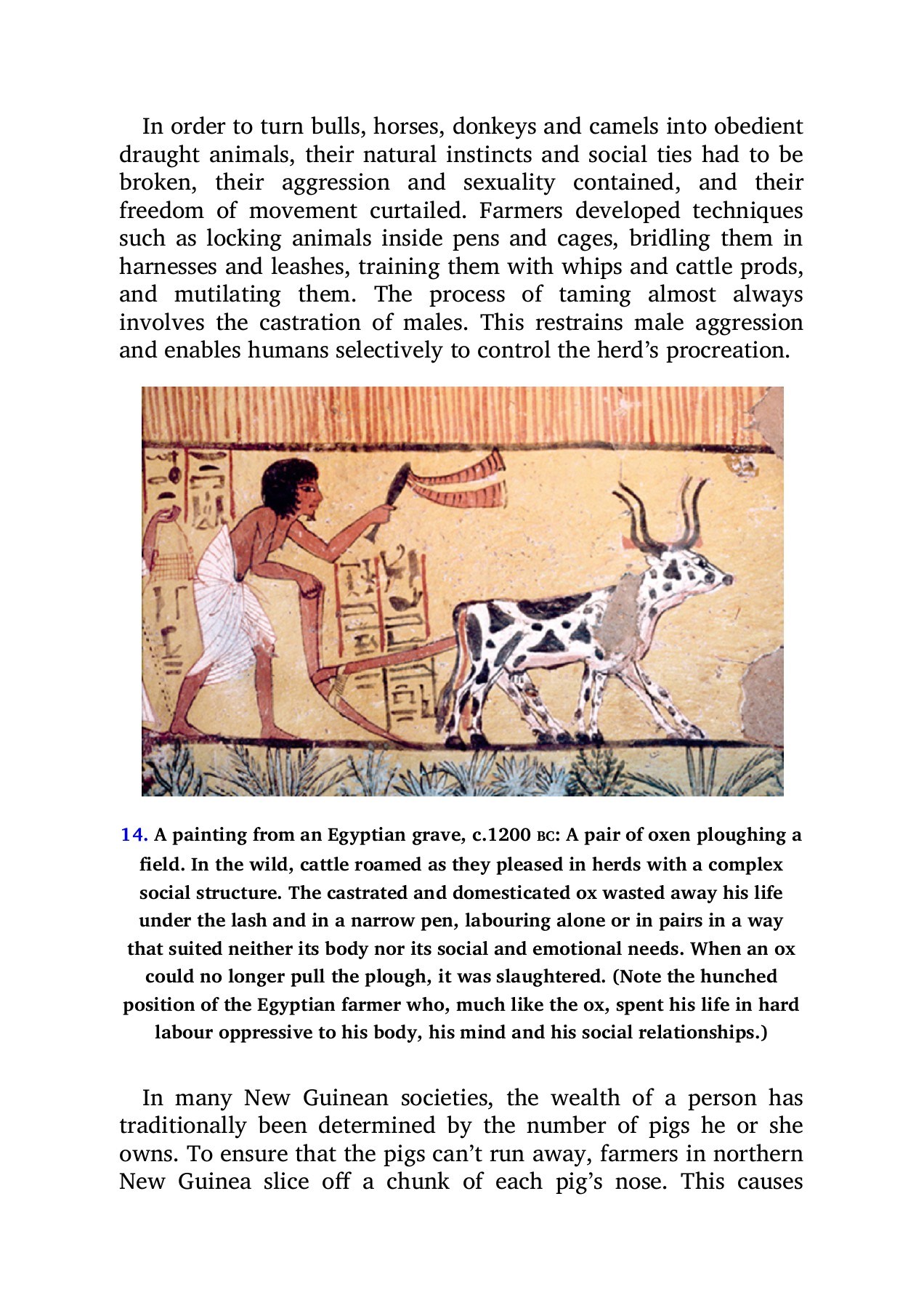 Sapiens _ A Brief History of Humankind - Yuval Noah Harari - The Book ...