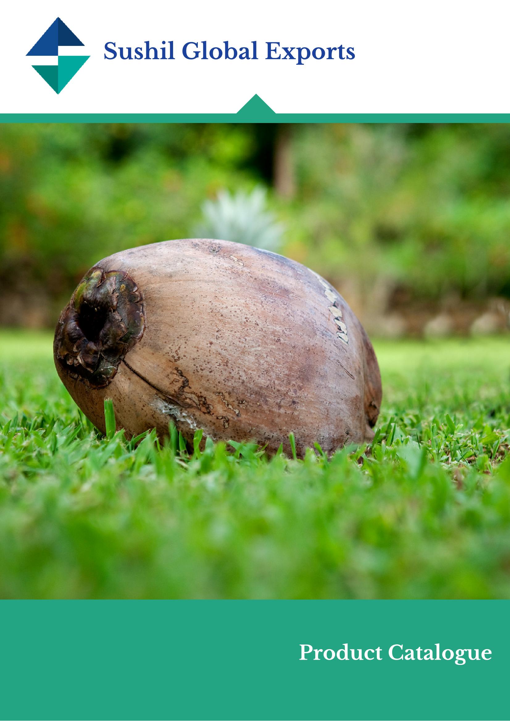 Sushil Global Exports - info.sushilglobal - Page 1 - 10 | Flip PDF Online | PubHTML5