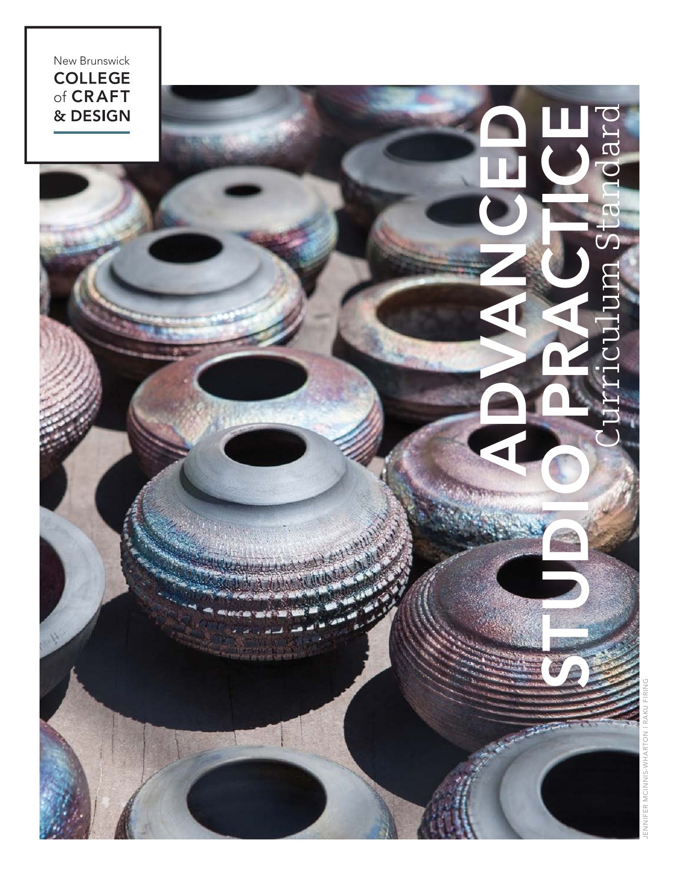 Advanced Studio Practice | Curriculum Standard - The New Brunswick ...