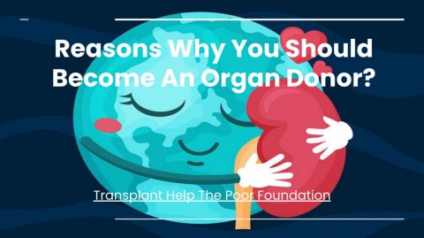 Reasons You should become an Organ Donor