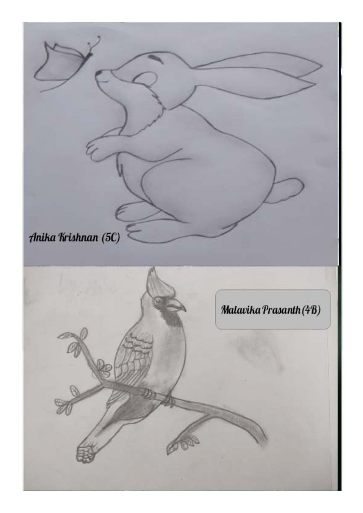 Webzine - suniya8138 - Page 49 | PDF Feuilletable en Ligne | PubHTML5