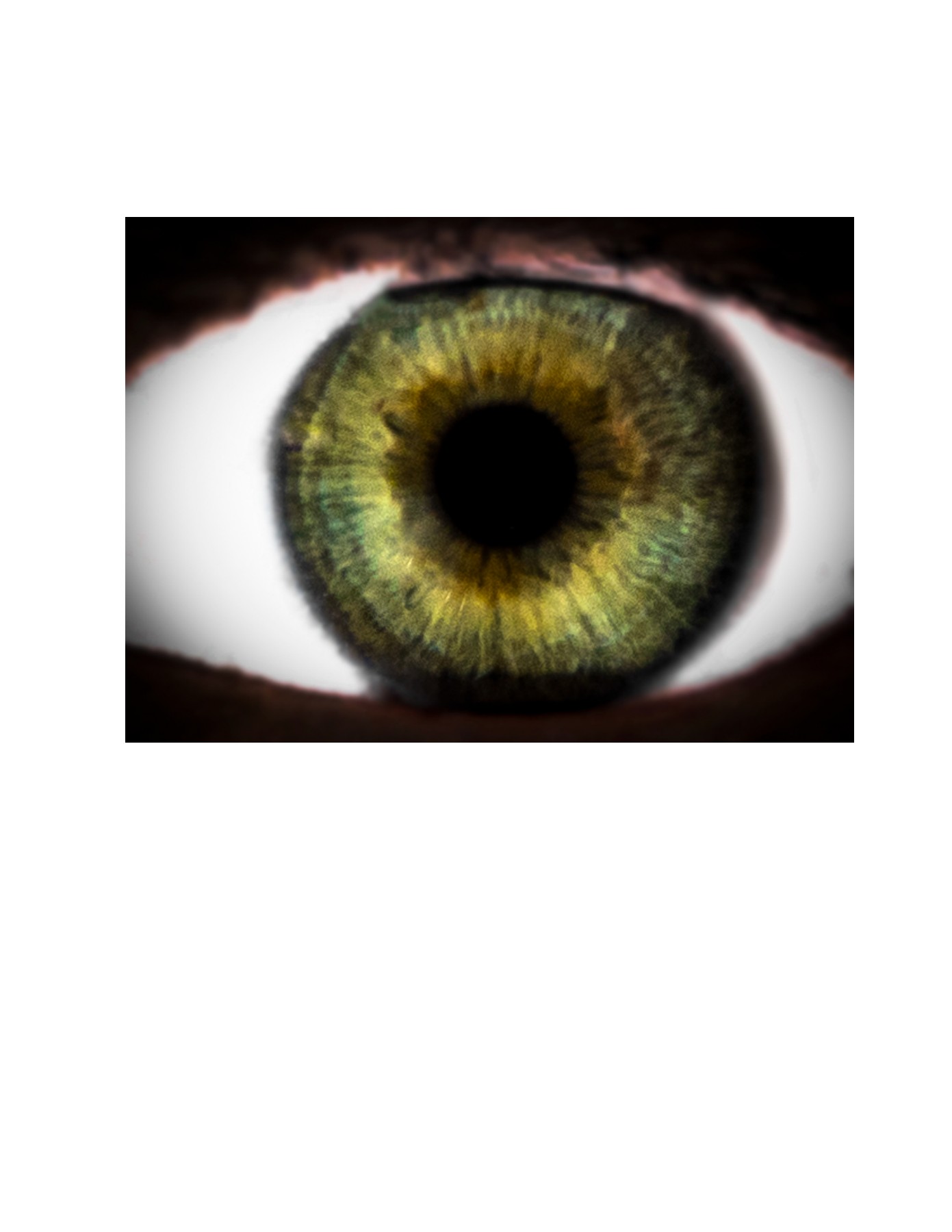 Untitledtest eye pdf - millerrhett - Page 1 - 1 | Flip PDF Online ...