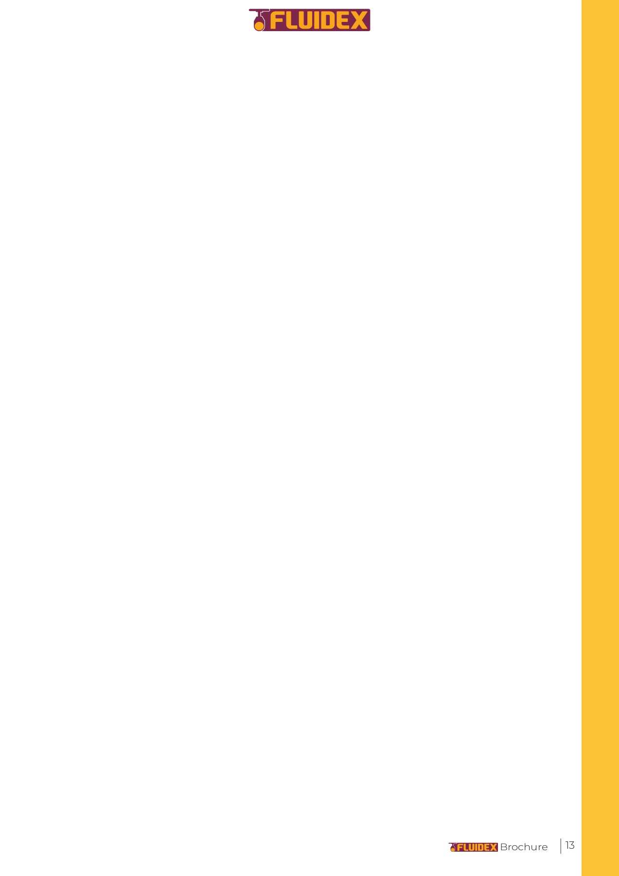 Fluidex Brochure new version - ah.dziri - Page 13 | PDF Feuilletable en Ligne | PubHTML5