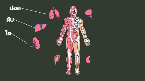 เอกสารประกอบการเรียน ประวัติศาสตร์สากล - dlit_sm037 - หน้าหนังสือ 16 | พลิก PDF ออนไลน์ | PubHTML5