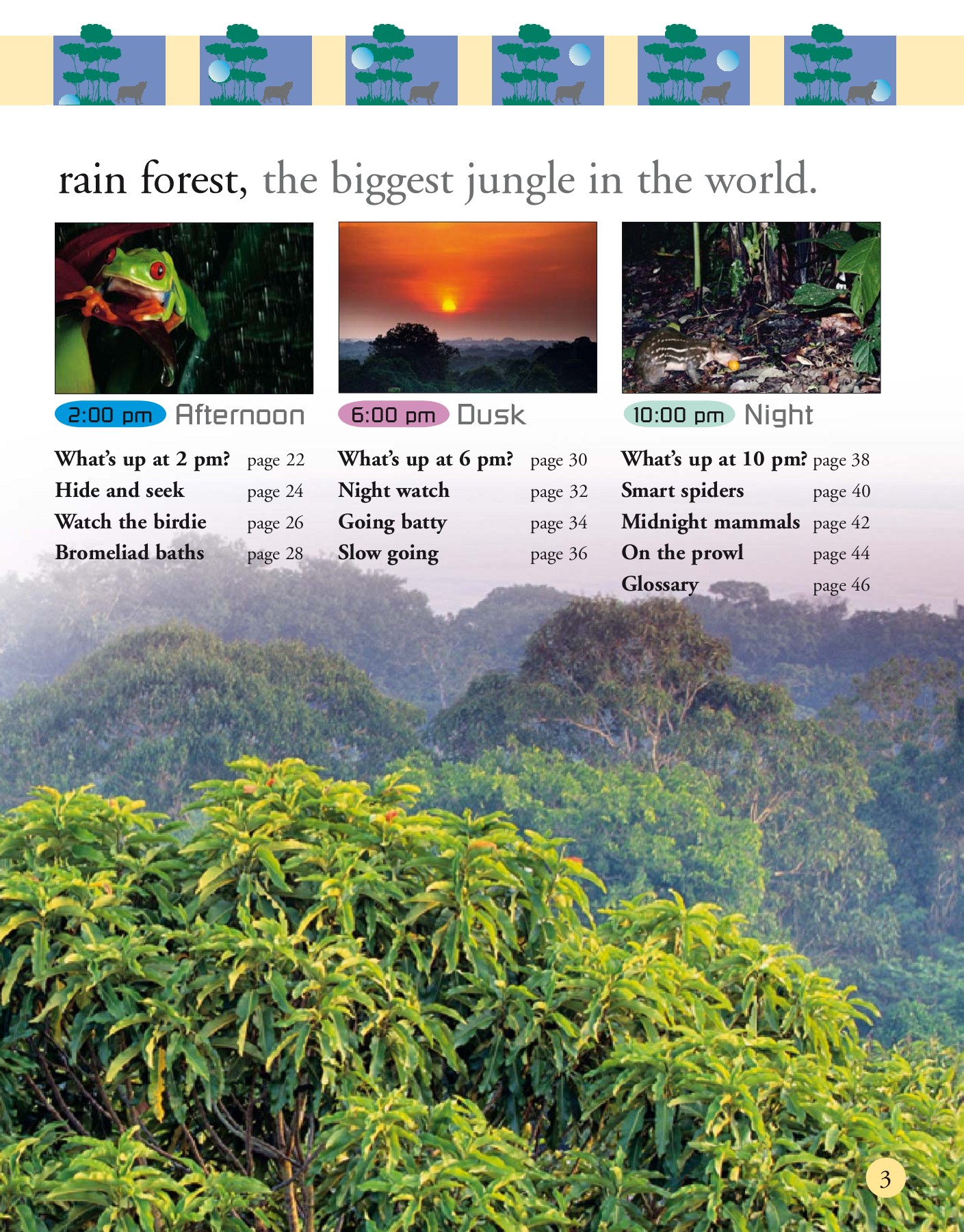 Rain Forest - Knowledge Hub MESKK - Page 4 | Flip PDF Online | PubHTML5