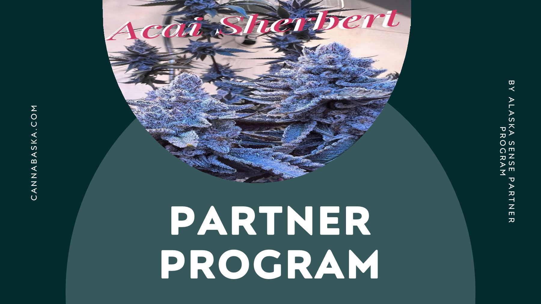 EXCLUSIVE_PARTNER PROGRAM_2023 - Simha Avraham - Page 1 - 9 | Flip PDF ...