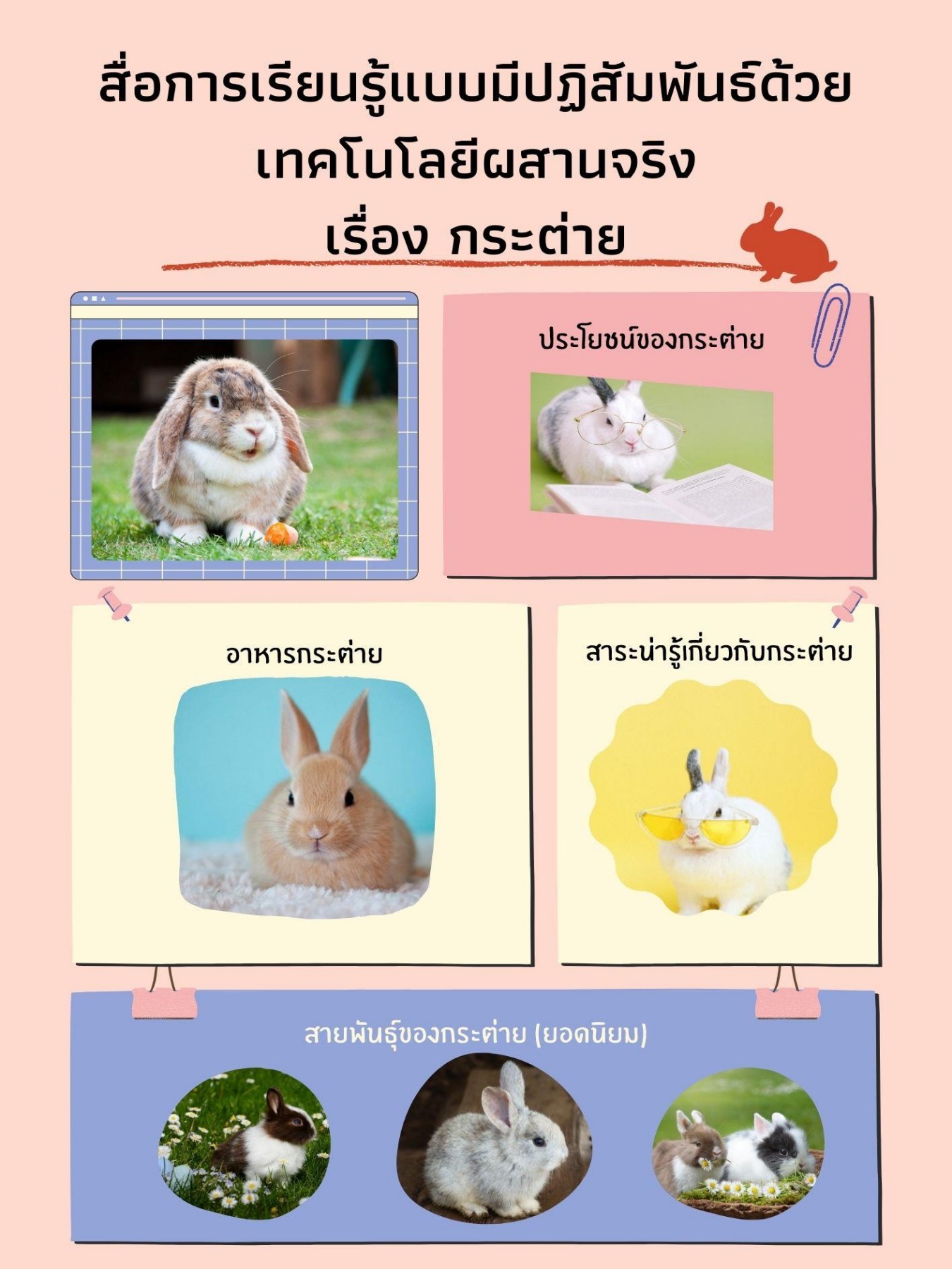 AR Rabbit - rootterok.765 - Page 1 - 8 | Flip PDF Online | PubHTML5