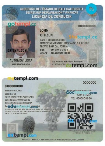 Mexico Baja California driving license PSD template, fully editable