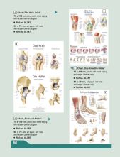 catalogue 2021 - ajilal AJ Creation - Page 362 | PDF Feuilletable en Ligne | PubHTML5