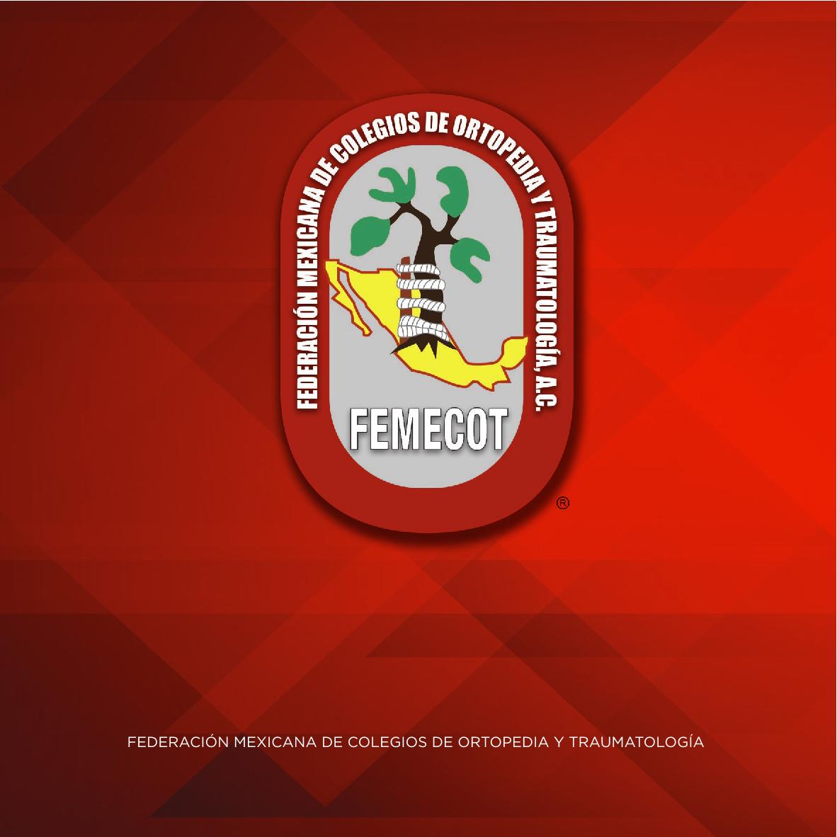 FEMECOT 2018_v3 - tareasogt - Página 1 - 12 | Flip PDF en línea | PubHTML5