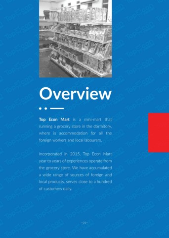 top-econ-mart-company-profile - univivid.c - Page 4 | Flip PDF Online ...