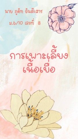 3CC88D24-7E6E-4AB4-B408-081C72EB6134