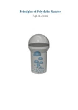 Princeples of Polyolefin Reactor client