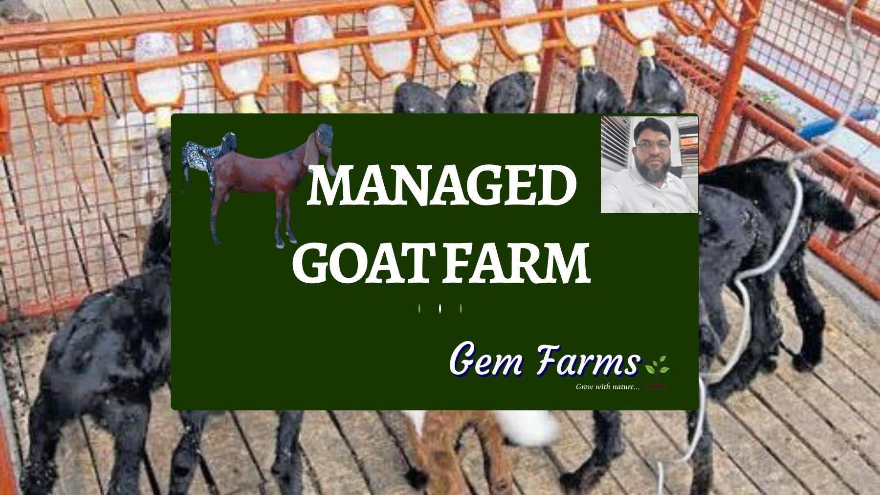 Goat Farm Presentation - Baig - ushas.srimitra - Page 1 - 16 | Flip PDF ...