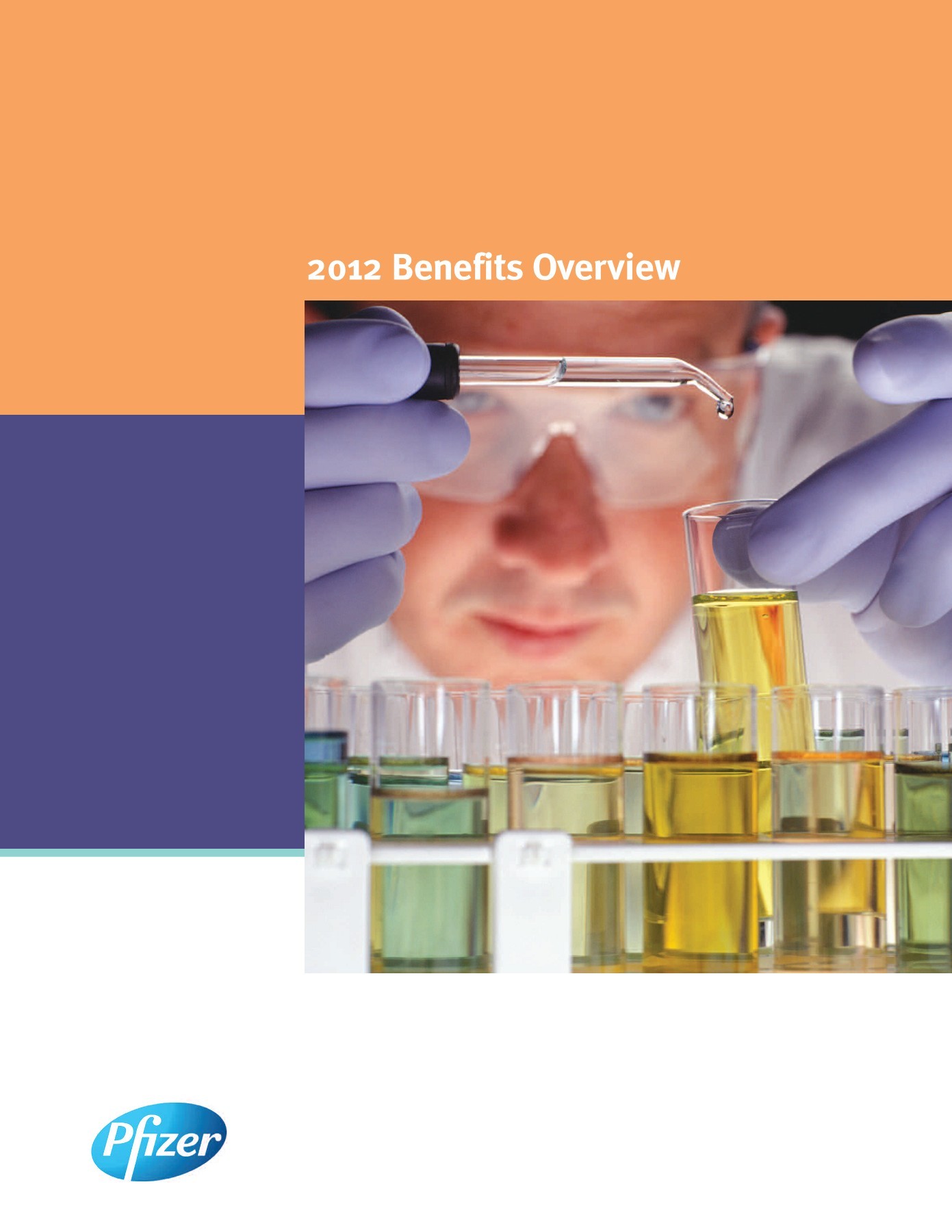 King Pfizer Pre-Enroll Bro - Tracyleesullivan - Page 1 - 12 | Flip PDF ...