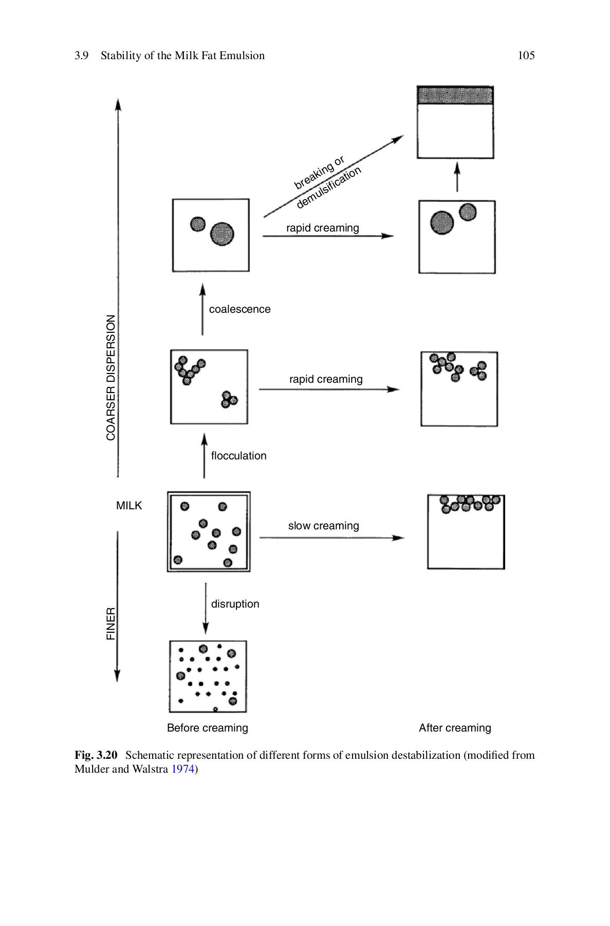 Dairy Chemistry and Biochemistry - BiotAU website - Page 125 | Flip PDF ...