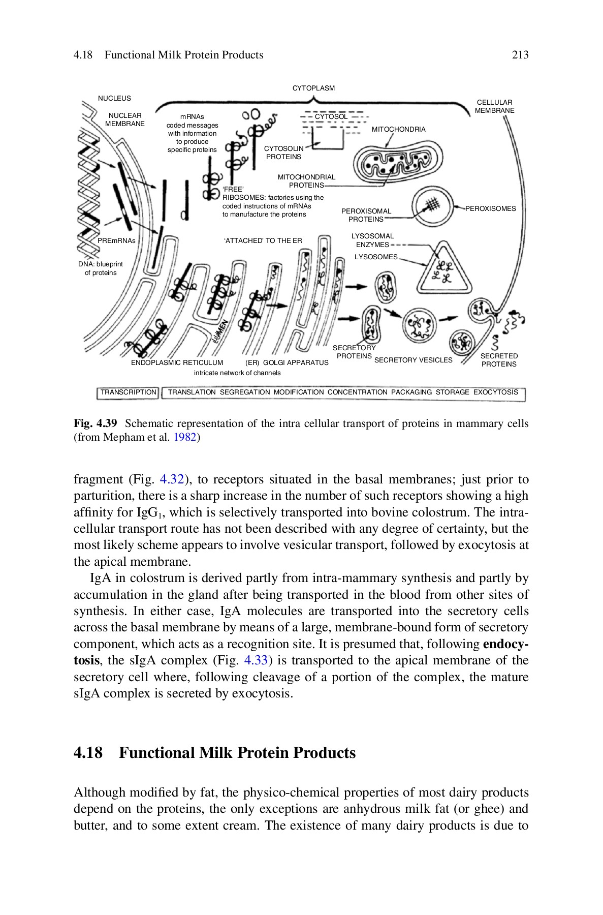 Dairy Chemistry and Biochemistry - BiotAU website - Page 233 | Flip PDF ...