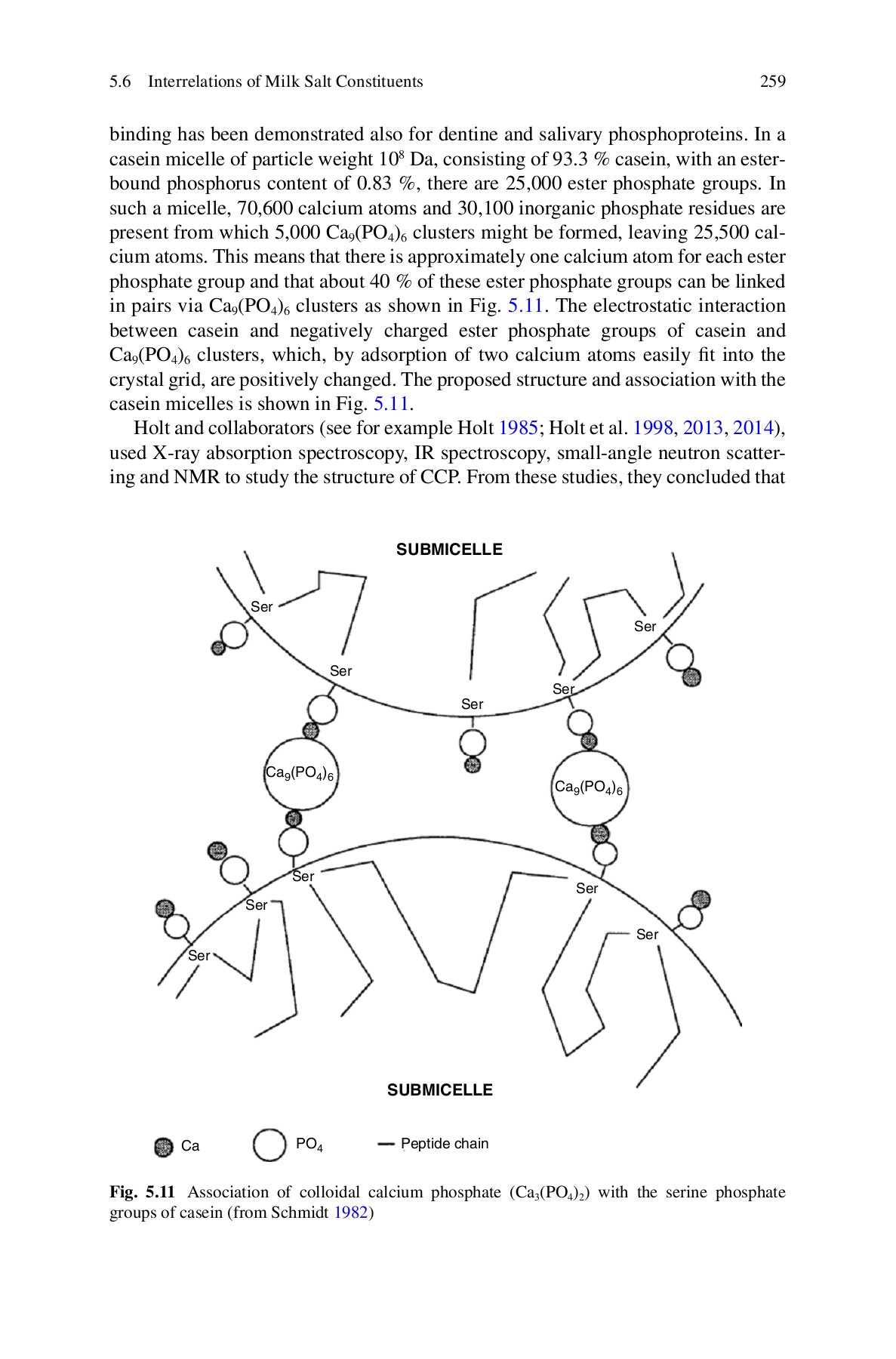 Dairy Chemistry and Biochemistry - BiotAU website - Page 278 | Flip PDF ...